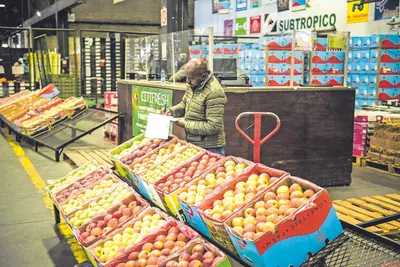 Call for reform and pricing transparency in South Africa’s fresh ...