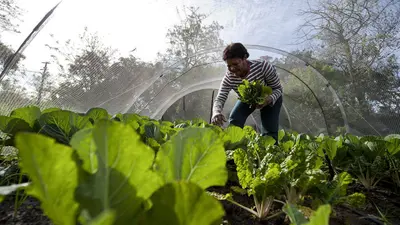 South Africa’s global food security ranking improves, but household ...