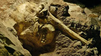 Superscientist helps expose the deep human journey