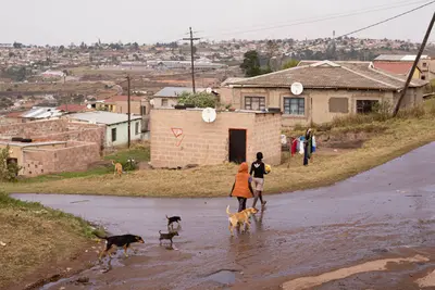 Looters remorseful as daily life gets tougher