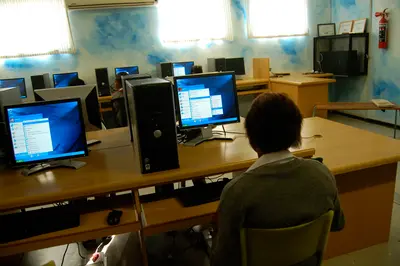Harnessing AI for equitable access in education, healthcare