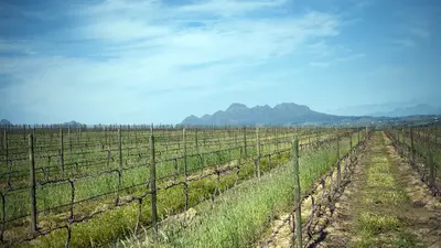ANC wants land cap of 12 000 hectares or two farms