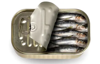 Recipes for success with sustainable fish