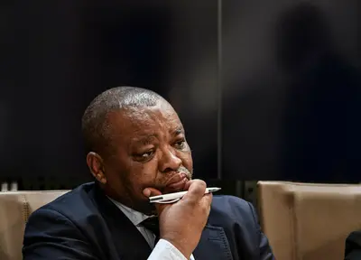 Mantashe: ‘We must not allow scavengers to eat the energy sector’
