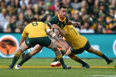 Will Boks be lambs to the slaughter?
