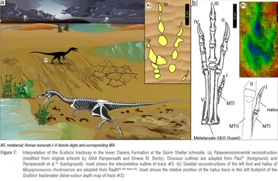 South African discovered dinosaur could help demystify the life of the ...