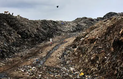 Planet Earth: Declare an emergency
