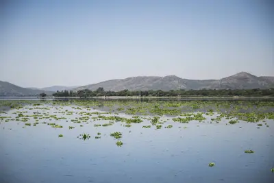 SA rivers, dams, used as waste disposal systems, says ecologist