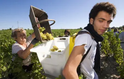 Savouring the grape escape