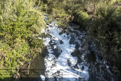Wastewater plants dump 50 000 litres of sewage into SA rivers every second