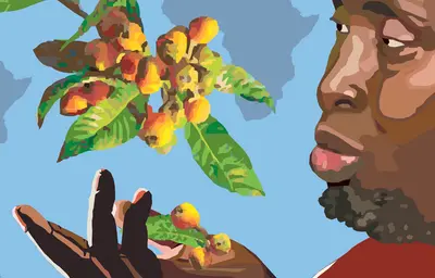 Put Africa back in our universities