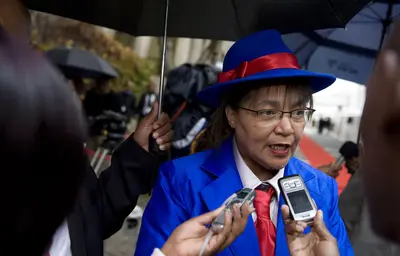 ANC looks for security a ‘firepool’ at De Lille’s home