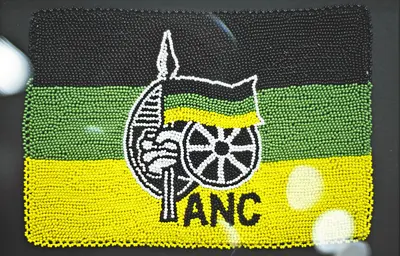 ‘Violent hooligans’ interrupt ANC nominations