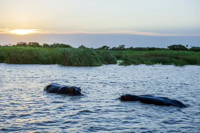 Report: Breach of Lake St Lucia estuary did not contravene recommendations
