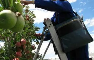 New focus on farm security